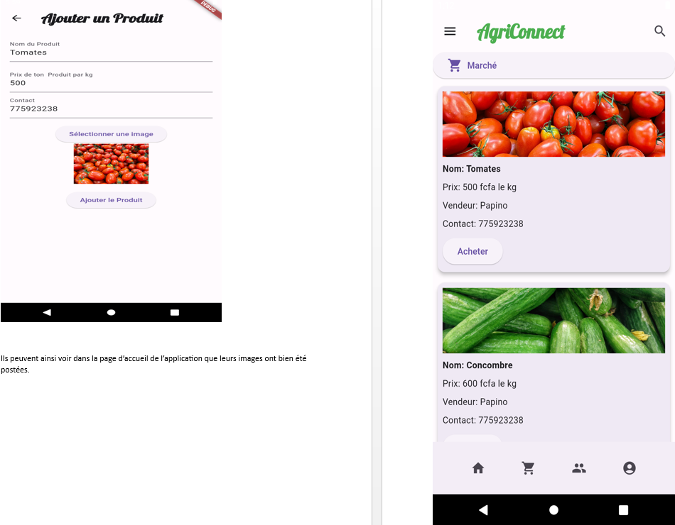 P.S.N. | Portfolio de Développement Web